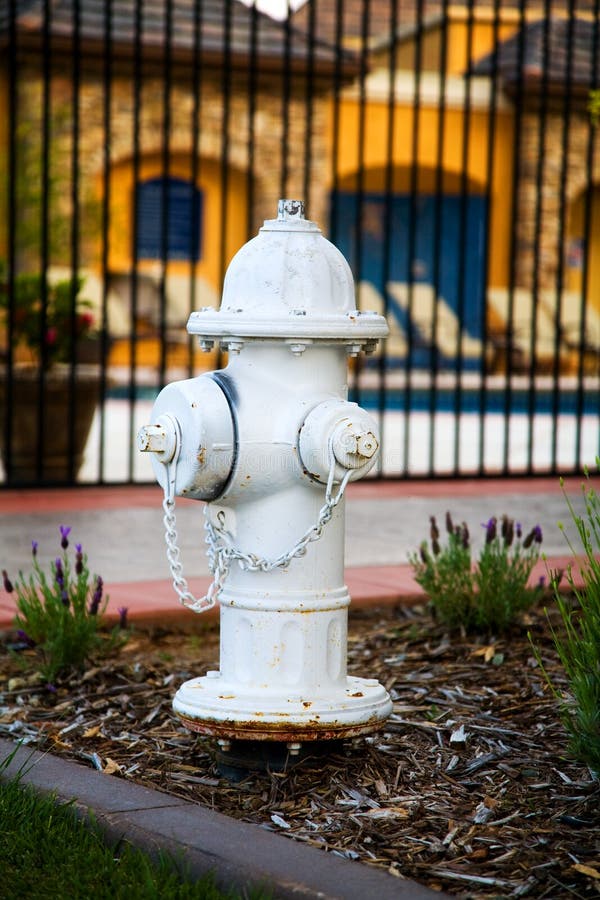 Fire Hydrant Picture. Image: 5212742