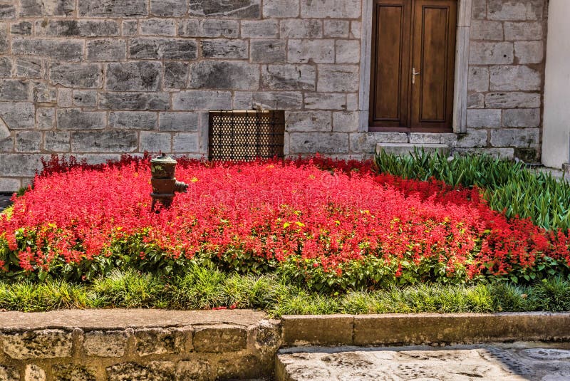 Fire Hydrant in Bed of Flowers Stock Image - Image of istanbul ...