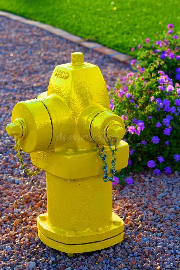 Fire hydrant stock photo. Image of municipal, active - 54656842
