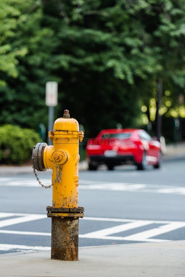 Fire Hydrant Charlotte stock image. Image of green, safety - 47989959