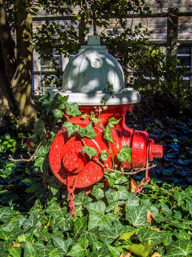 Fire hydrant in city park stock image. Image of safety - 79222985