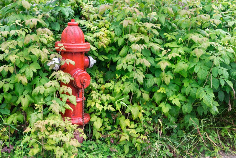 Fire Hydrant Cover with Grass. Stock Image - Image of color, outside ...