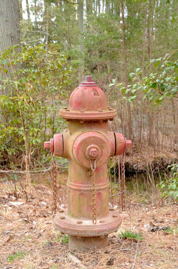 Fire Hydrant stock photo. Image of rusty, faded, fire - 144339644