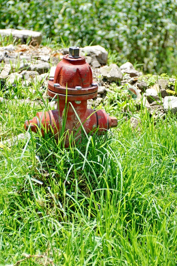 Fire hydrant stock photo. Image of america, tall, south - 153580880