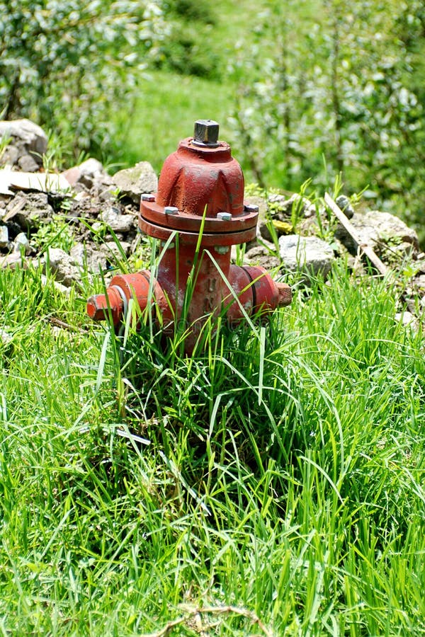 Fire hydrant stock photo. Image of latin, grass, cotacachi - 153580938