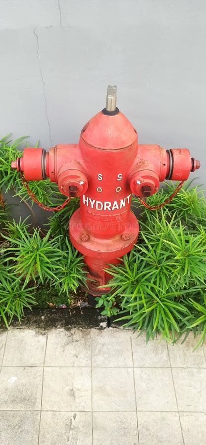 Fire Hydrant stock image. Image of lighting, shrub, garden - 276548713