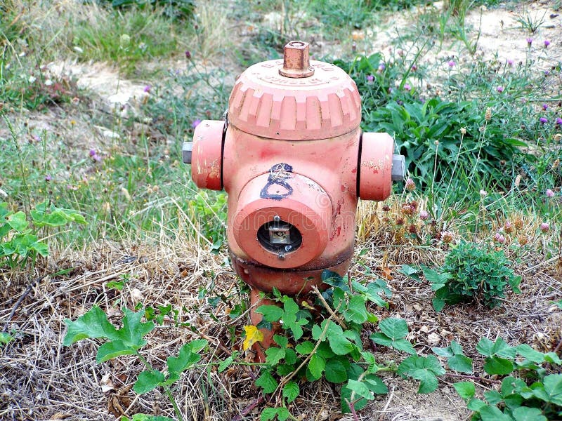 Firefightersnfire Stock Photos - Free & Royalty-Free Stock Photos from ...