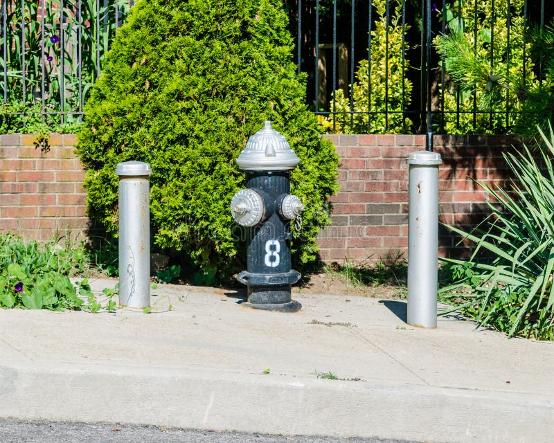 Fire Hydrant fireplug stock image. Image of metal, city - 83204999