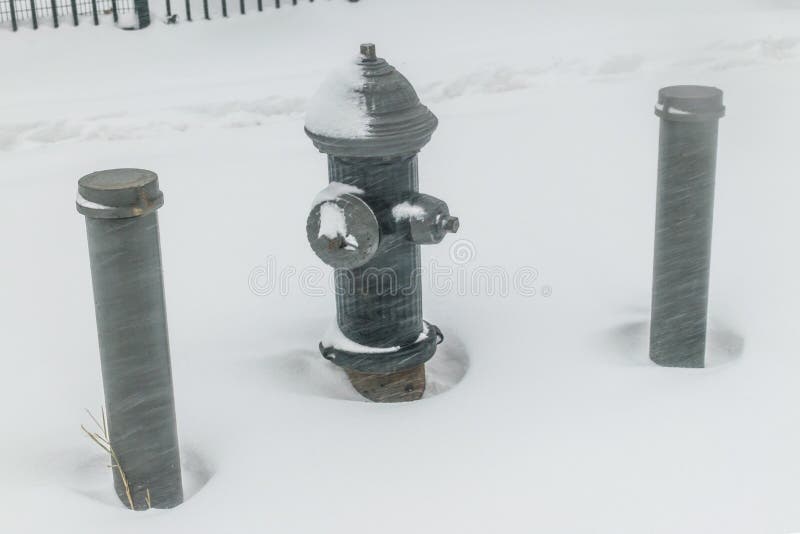 Fire Hydrant fireplug stock photo. Image of meadow, nature - 83234466