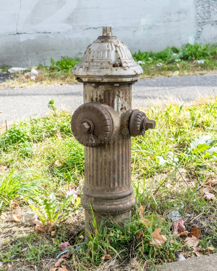 Fire Hydrant fireplug stock photo. Image of plant, danger - 83231960