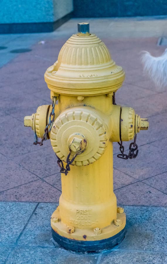 Fire Hydrant fireplug stock image. Image of plant, object - 83233141