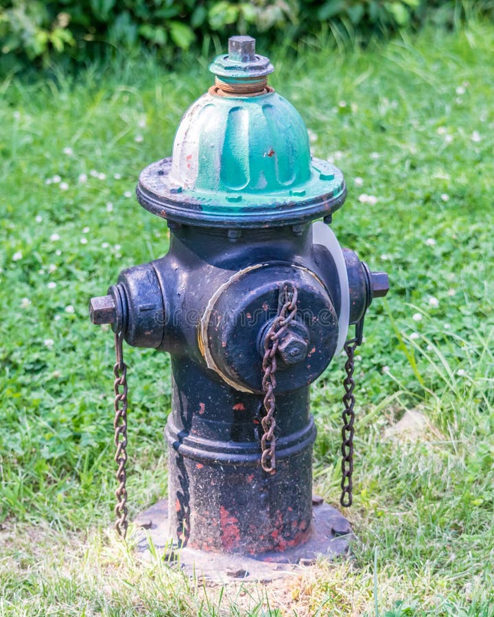 Fire Hydrant fireplug stock photo. Image of meadow, prevention - 83234184