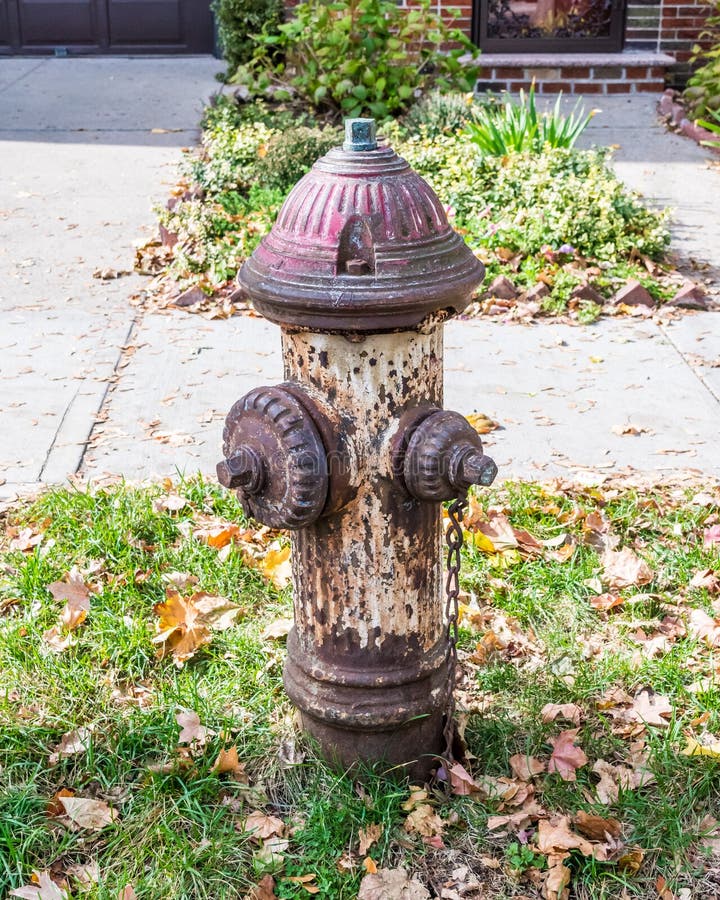 Fire Hydrant fireplug stock image. Image of rural, emergency - 83205001