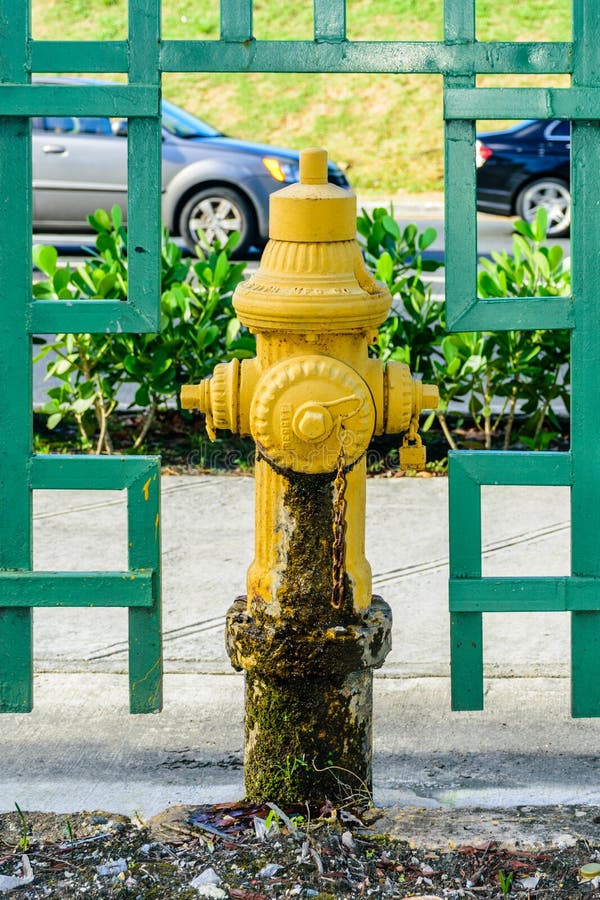 Fire Hydrant fireplug stock image. Image of emergency - 83232027