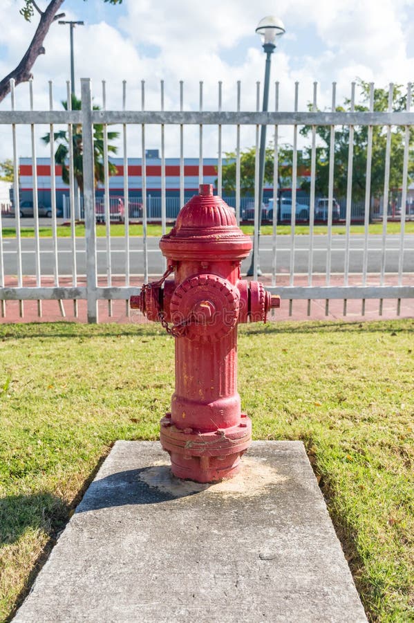 Fire Hydrant fireplug stock image. Image of flora, city - 89482819