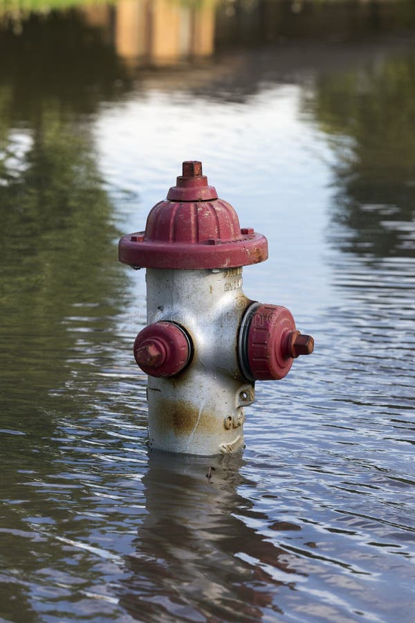 Fire Hydrant in Flood Water Stock Image - Image of silver, water: 55481909