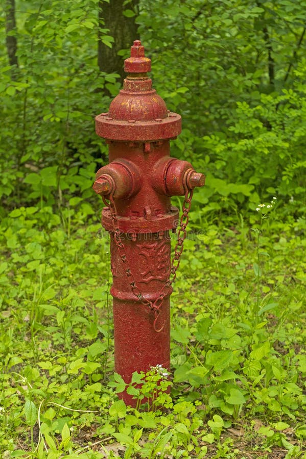 Fire Hydrant in the Forest stock image. Image of scenic - 201196043