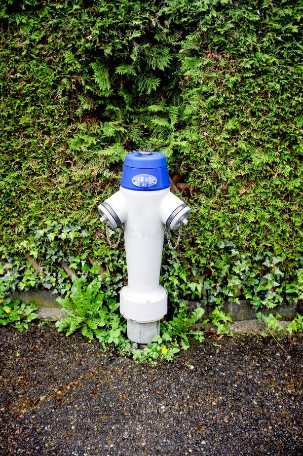 Fire Hydrant in Front of Bush Stock Image - Image of detector, bush ...