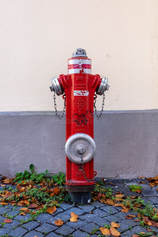 A Vertical Shot of a Fire Hydrant in a Street with a Neutral Wall ...