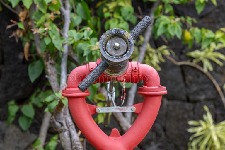 Fire hydrant in the garden stock photo. Image of tool - 311386572