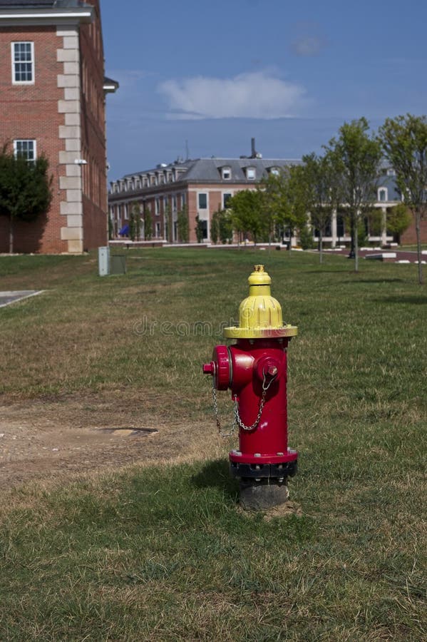 Fire Hydrant on a Grass Lawn Stock Photo - Image of landscaping ...