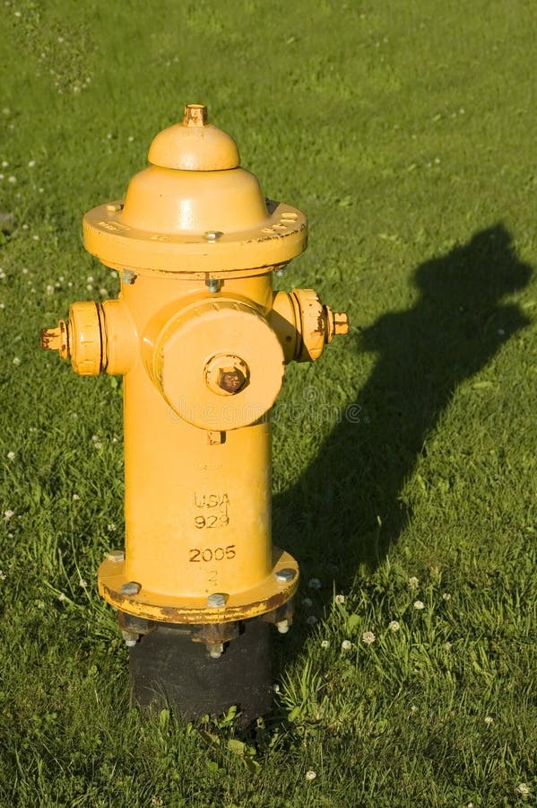 Fire Hydrant In Grass Vertical Picture. Image: 5858734