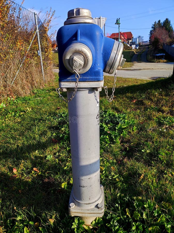 Fire hydrant in grey blue stock image. Image of tree - 235263289