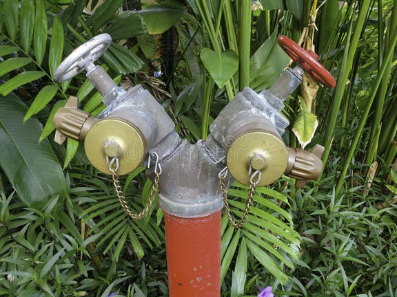 Fire hydrant installed stock photo. Image of grass, protection - 191769128