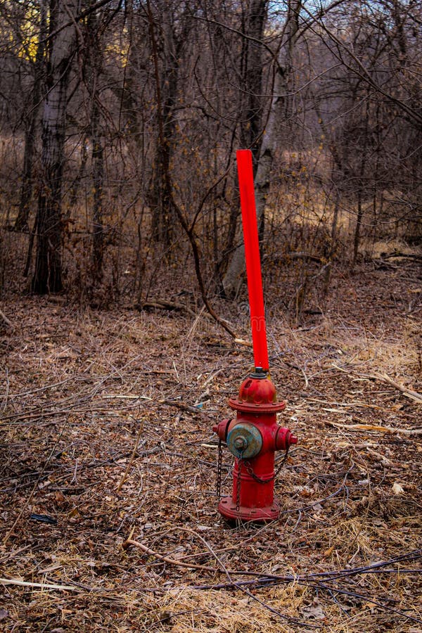 A Fire Hydrant with Red Snow Pole Visibility Marker in the Clearing of ...