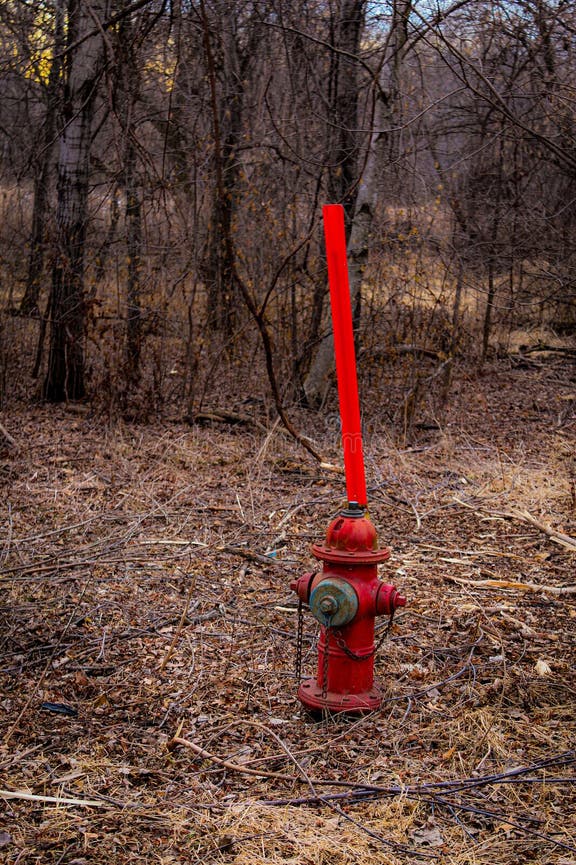 A Fire Hydrant with Red Snow Pole Visibility Marker in the Clearing of ...