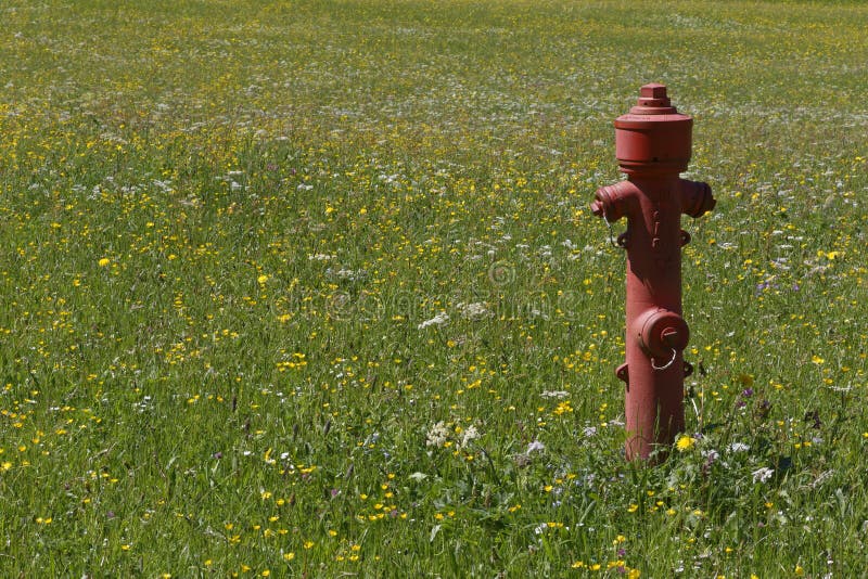 Fire hydrant in a meadow stock image. Image of snowplow - 72737791