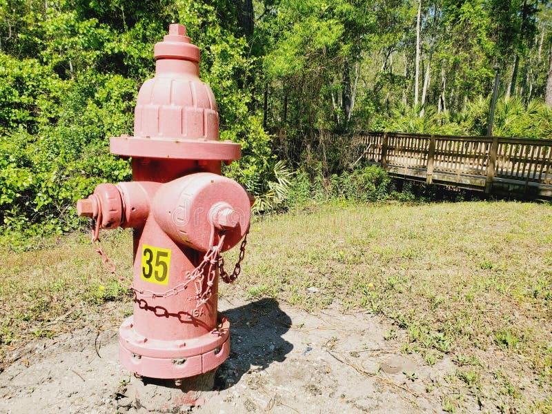 Fire Hydrant Near Forest and Bridge Stock Photo - Image of grass, tree ...