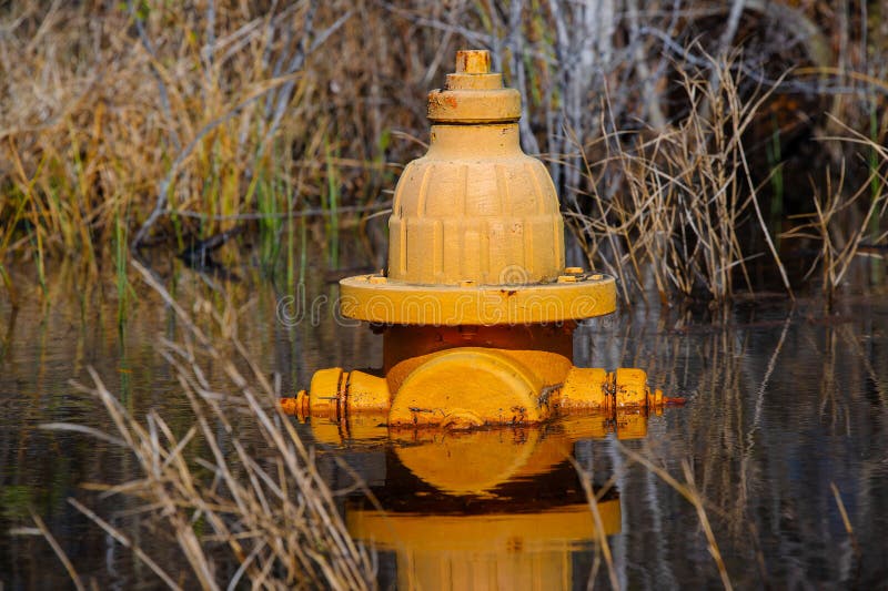 Fire Hydrant orange yellow stock image. Image of extinguish - 273907191