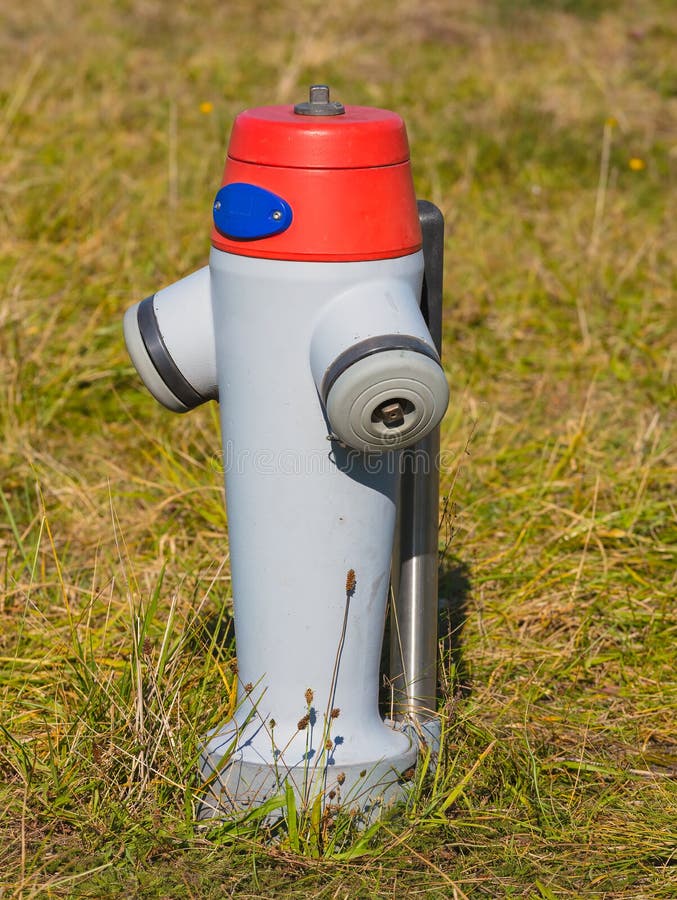 Fire hydrant in grass stock photo. Image of protection - 144981428