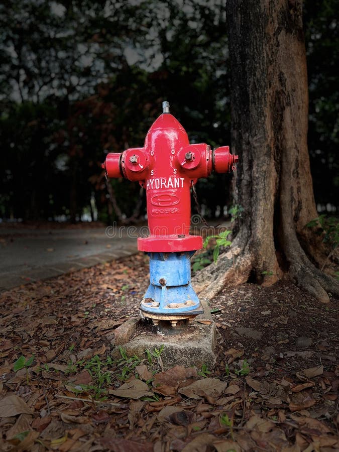 Fire Hydrant Pillar in the Forest Stock Image - Image of tree, hydrant ...