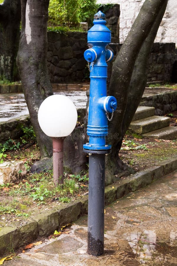 Fire hydrant stock photo. Image of lamp, outdoors, pretty - 65437302