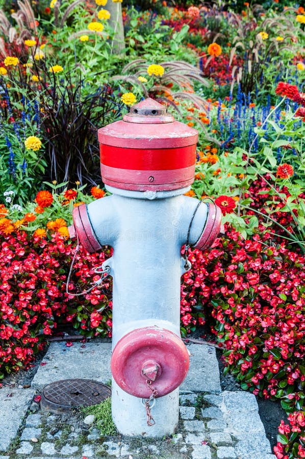 A Fire Hydrant with a Red Cap is Surrounded by Colorful Flowers Stock ...