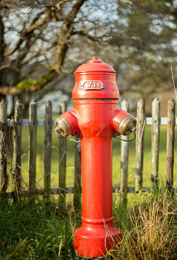Fire hydrant stock photo. Image of object, prevention - 65369496