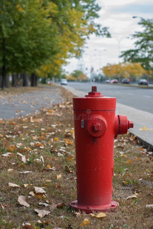 Fire hydrant stock image. Image of tree, extinguisher - 78647991