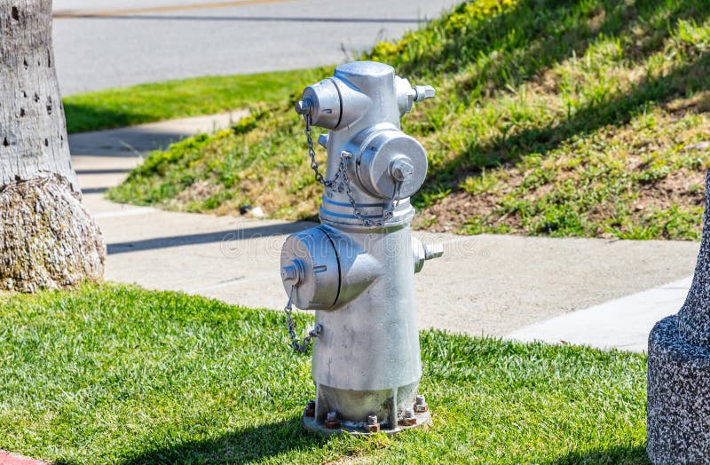 Fire Hydrant Silver Color Painted Outdoors in a Park, Sunny Spring Day ...