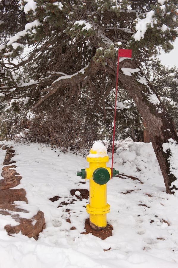Fire hydrant in snow stock photo. Image of identification - 28483960