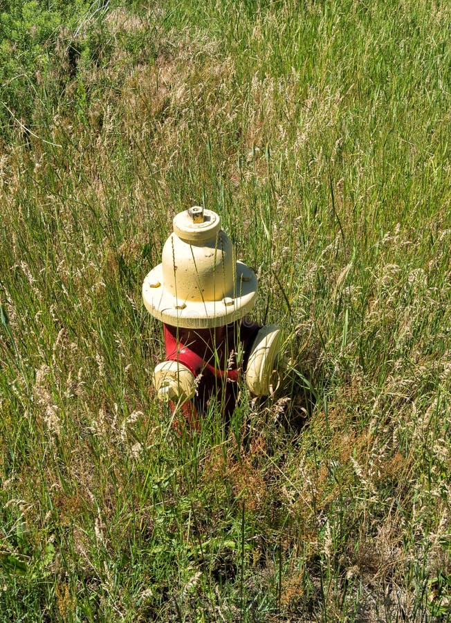 Fire - Hidden Monster in Flame Stock Photo - Image of event, monster ...