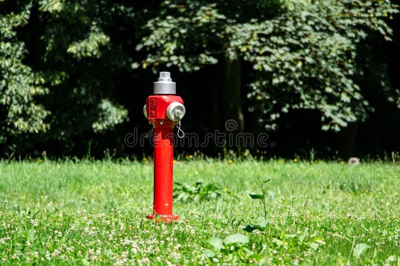 533 Fire Hydrant Lawn Stock Photos - Free & Royalty-Free Stock Photos ...