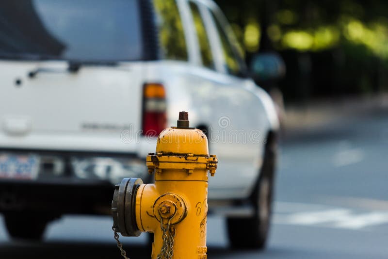 Charlotte Rescue Stock Photos - Free & Royalty-Free Stock Photos from ...