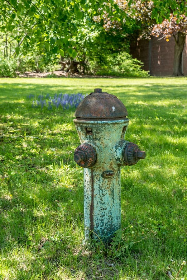 Fire Hydrant stock photo. Image of safety, extinguisher - 381261504
