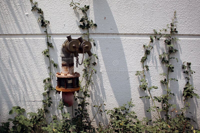 Fire Hydrant in the wall stock photo. Image of wall, sprinkler - 58999884