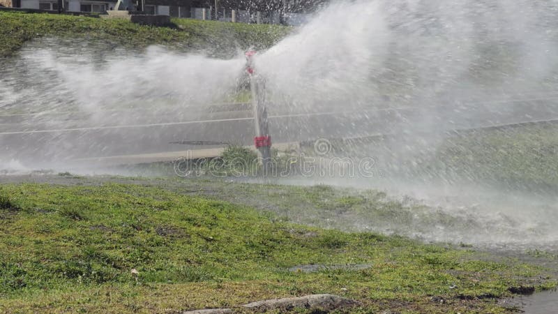 Fire Hydrant Water stock video. Video of damaged, street - 254725971