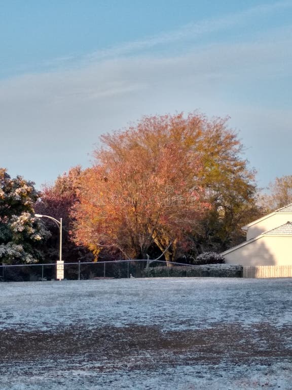 Fire and Ice stock photo. Image of tree, fall, fire - 163936538