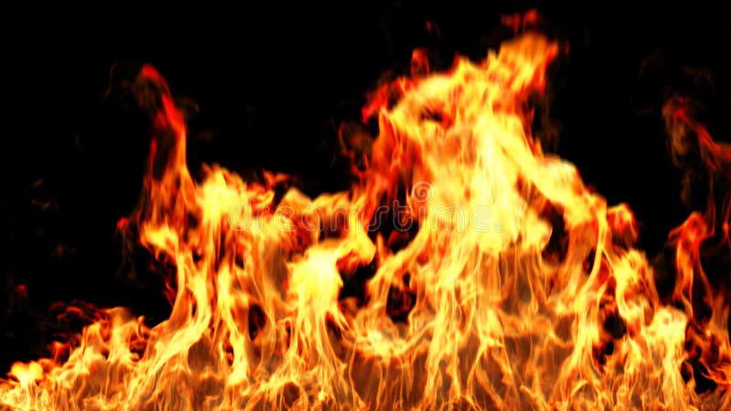 Fire Stock Footage & Videos - 349,192 Stock Videos