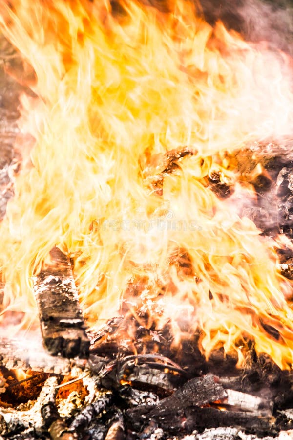 Fire stock image. Image of bonfire, closeup, collection - 71411583